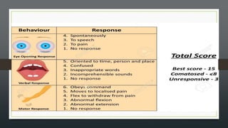 Triazhimi, kodet e triazhit | PPTX