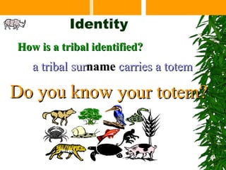 Tribal Identity | PPT