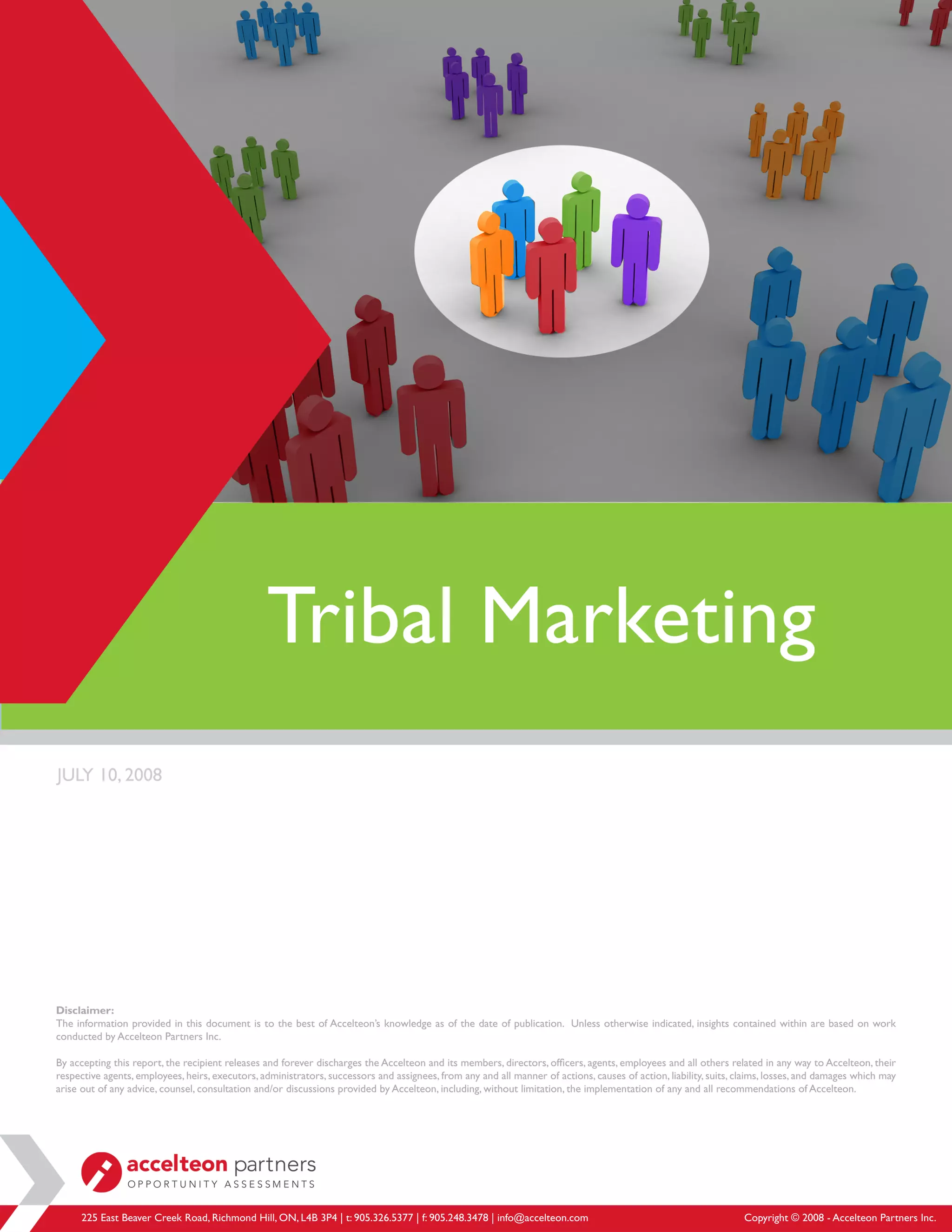 Tribal Marketing - Accelteon | PDF