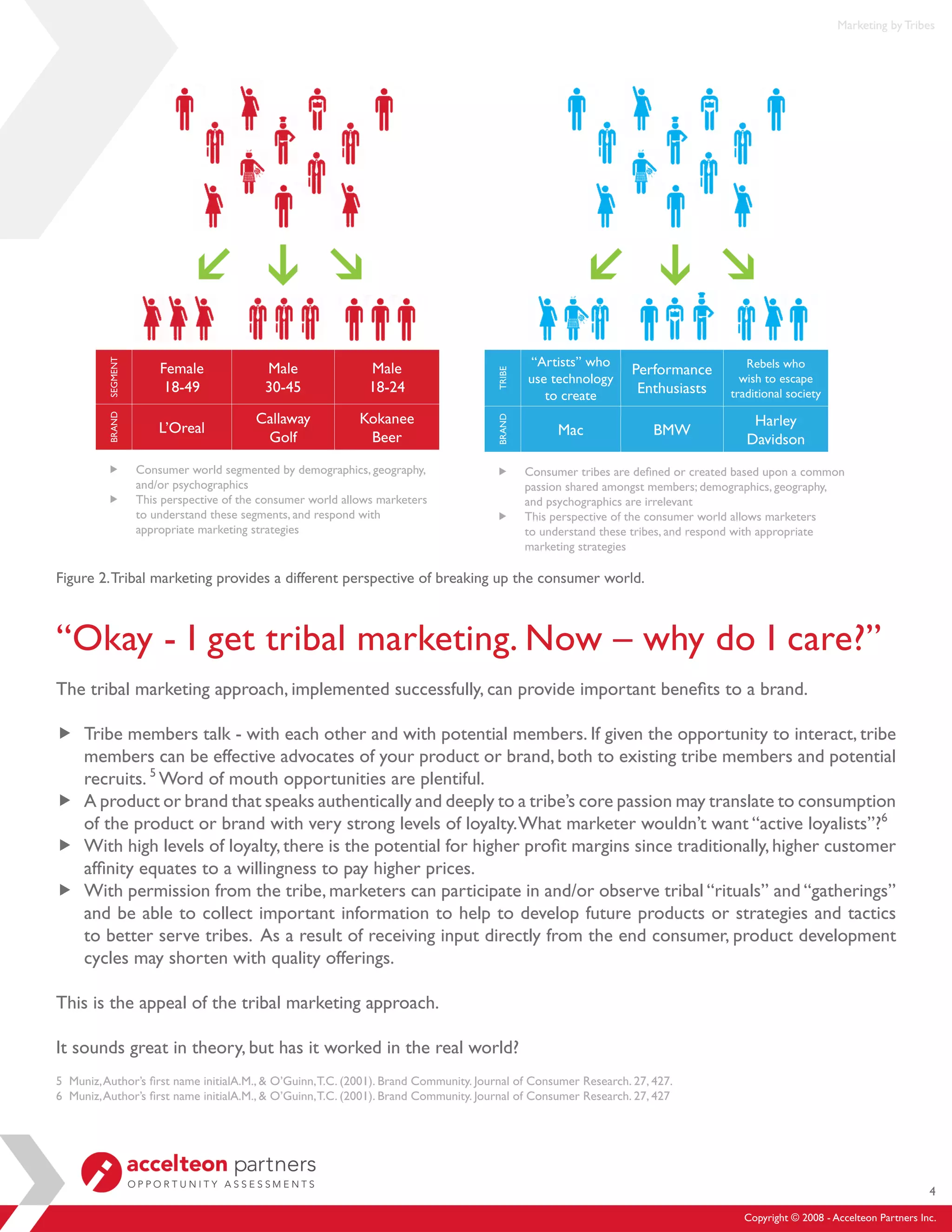 Tribal Marketing - Accelteon | PDF