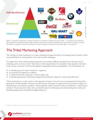 Tribal Marketing - Accelteon | PDF