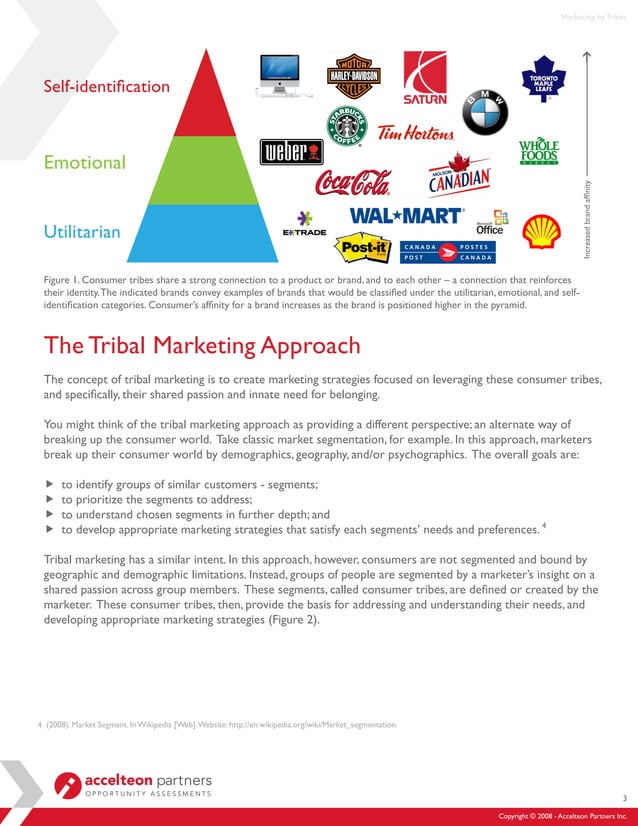 Tribal Marketing - Accelteon | PDF