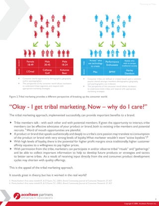Tribal Marketing - Accelteon | PDF