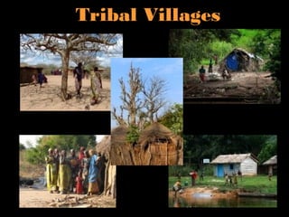 Tribal african society | PPT