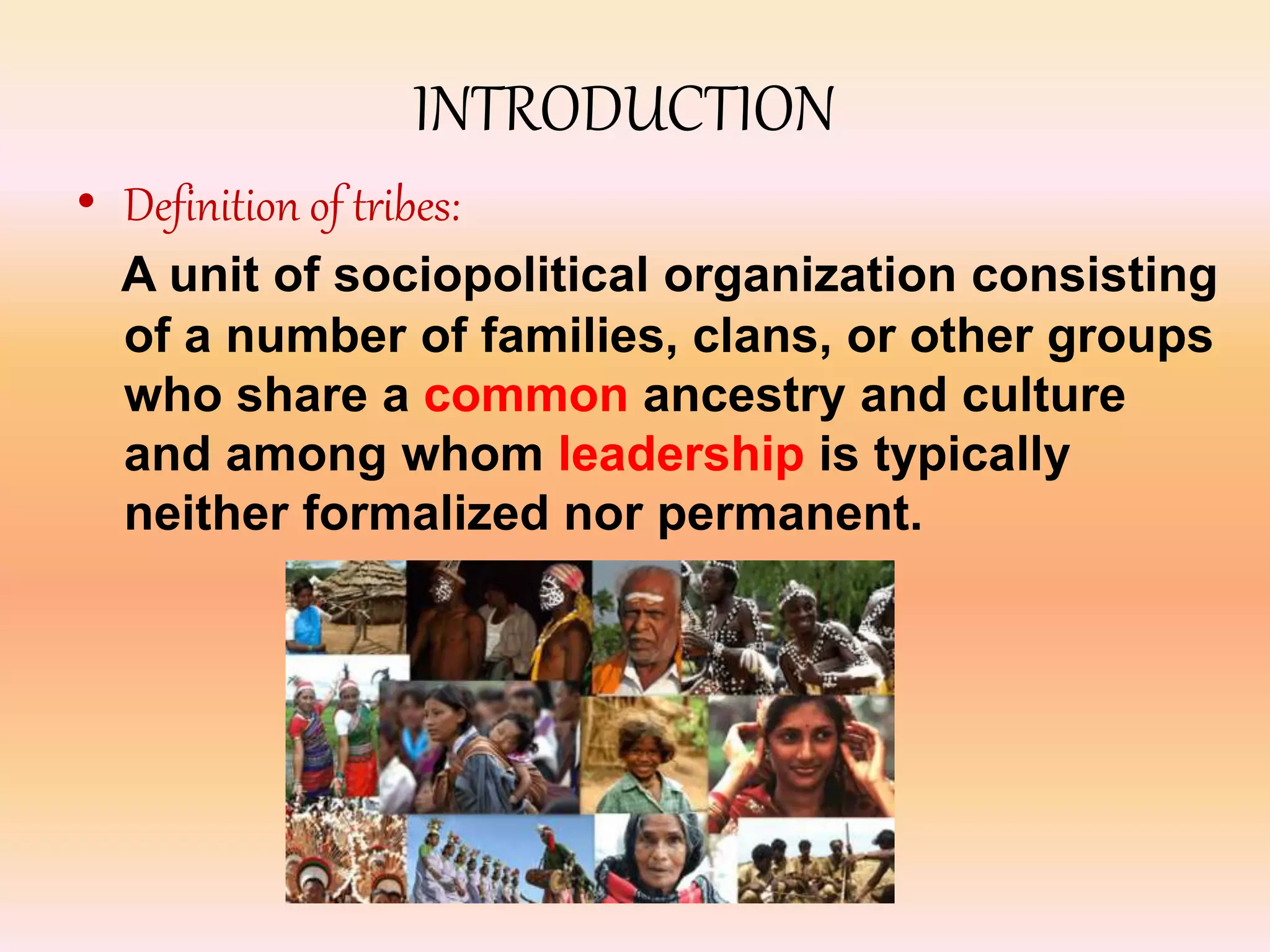 Tribal communities | PPTX