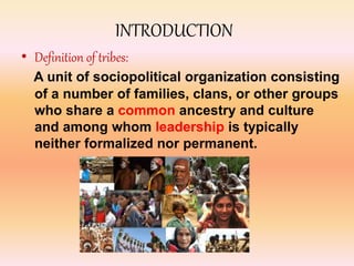 Tribal communities | PPTX