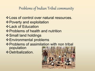 Tribal communities | PPTX