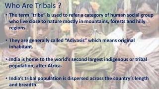 Tribal Community.pptx ffgfvvvvvvv5644ggfgdgdsgv | PPT