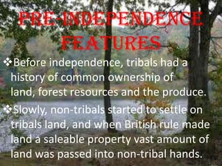 Tribal culture | PPTX
