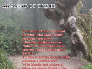 Tribal education | PPTX