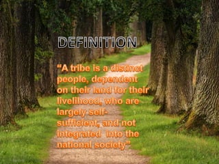 Tribal education | PPTX