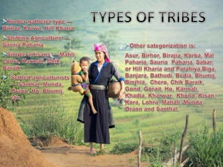 Tribal education | PPTX
