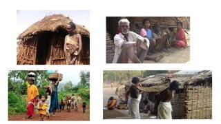 Tribal Health.pptx
