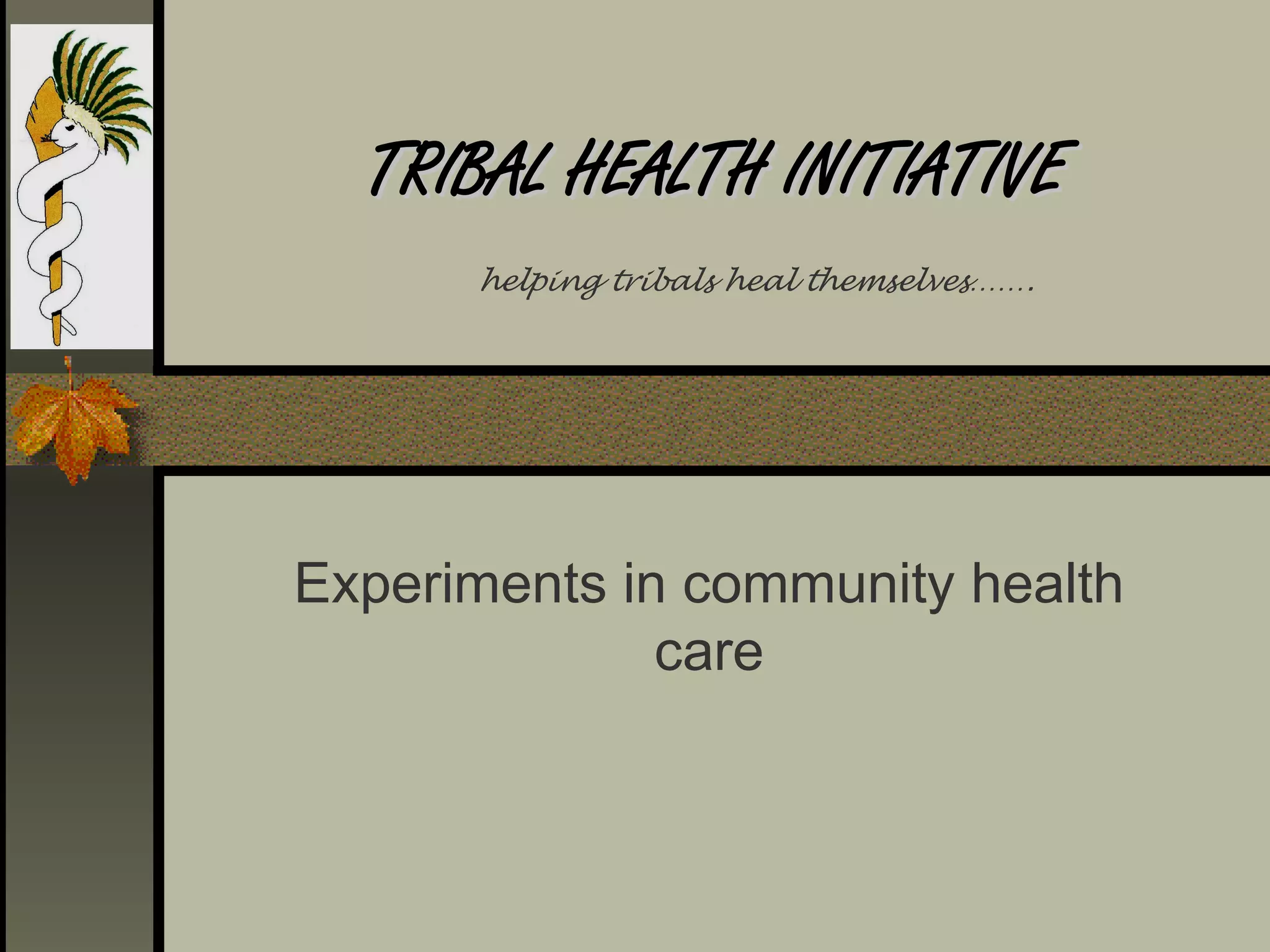 Tribal Health Initiative | PDF