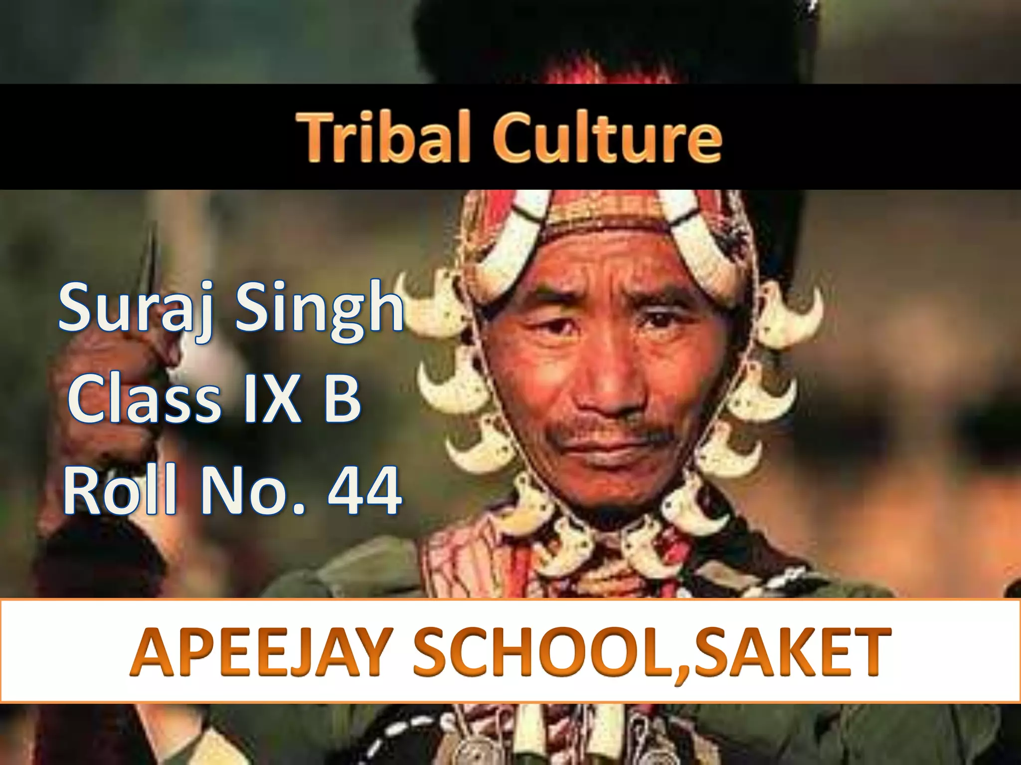 Tribal heritage (Tribes) | PPTX