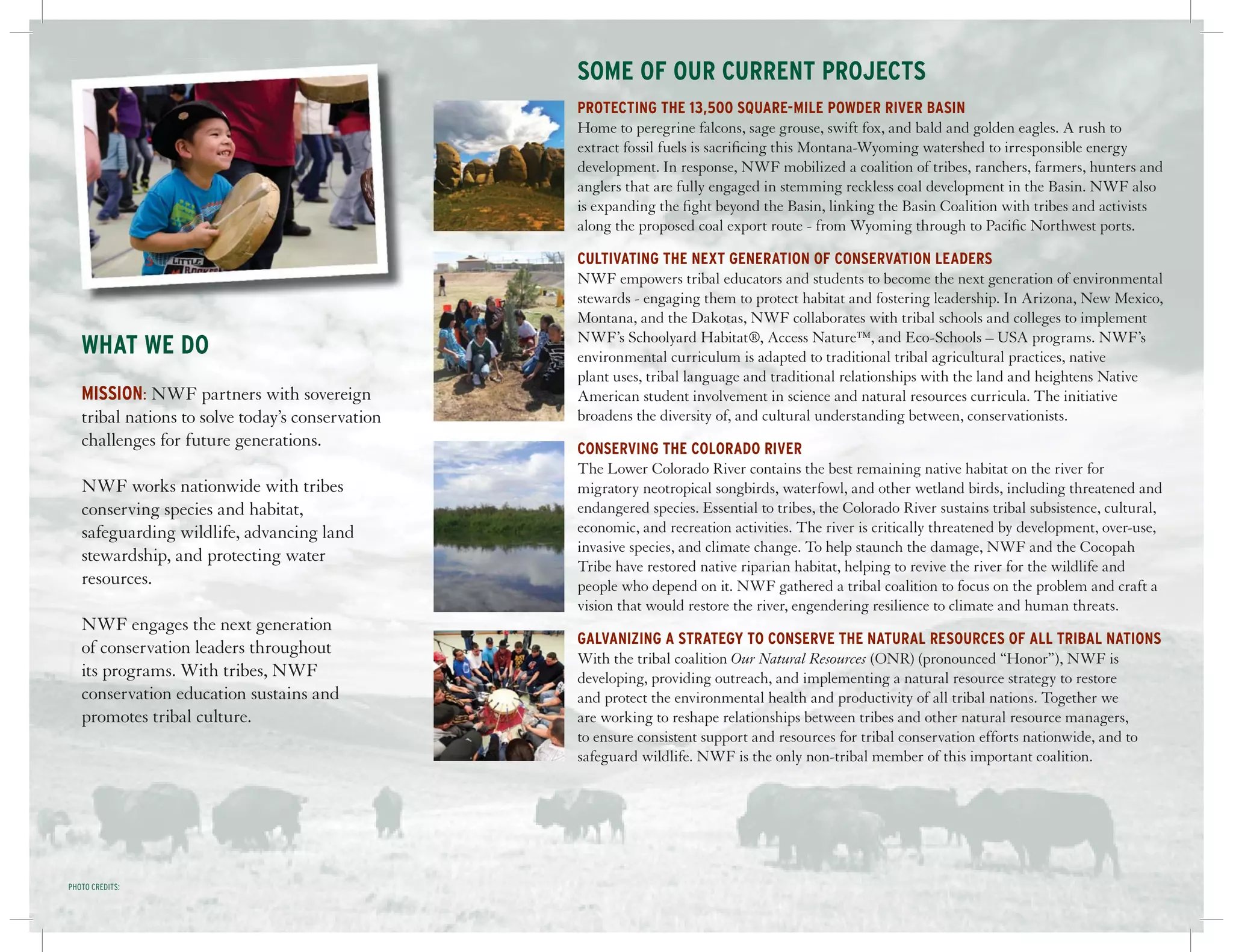 National Wildlife Federation Tribal Lands Partnerships Brochure | PPT