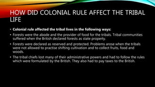 Tribal life then and now | PPTX
