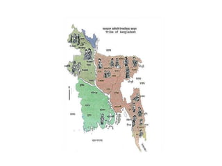 Tribal people of Bangladesh | PPTX