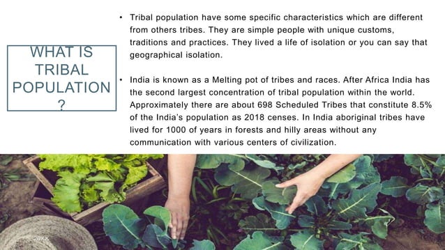 TRIBAL POPULATION AND THEIR RIGHTS IN INDIA.pptx