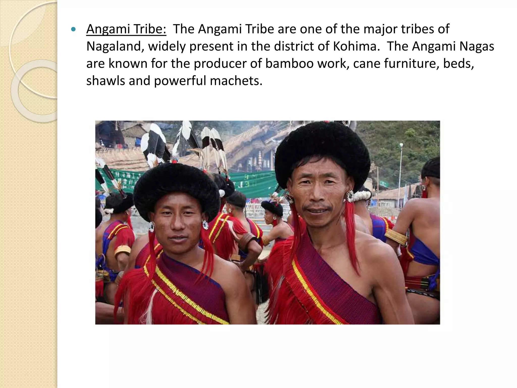 Tribal population of india | PPT