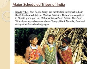 Tribal population of india | PPT