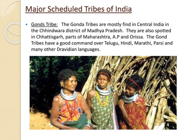 Tribal population of india | PPT
