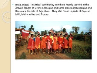 Tribal population of india | PPT