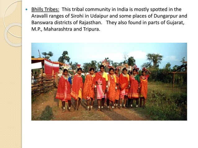 Tribal population of india | PPT