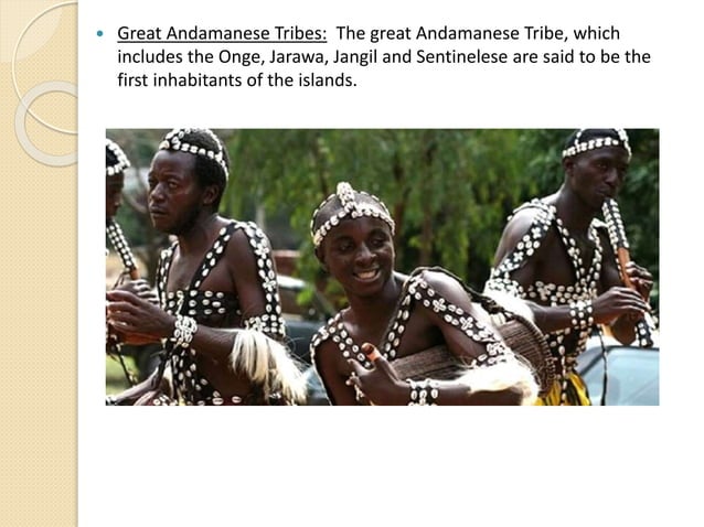 Tribal population of india | PPT