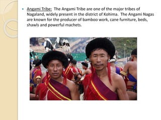 Tribal population of india | PPT