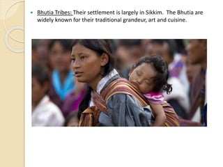 Tribal population of india | PPTX