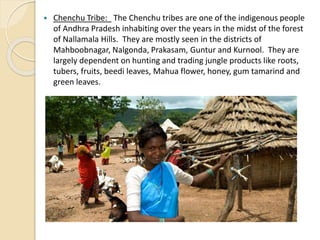 Tribal population of india | PPT