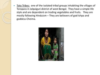 Tribal population of india | PPT