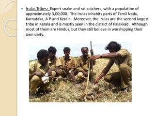 Tribal population of india | PPT