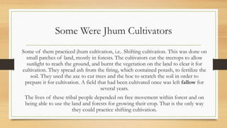 Tribals and dikus | PPTX