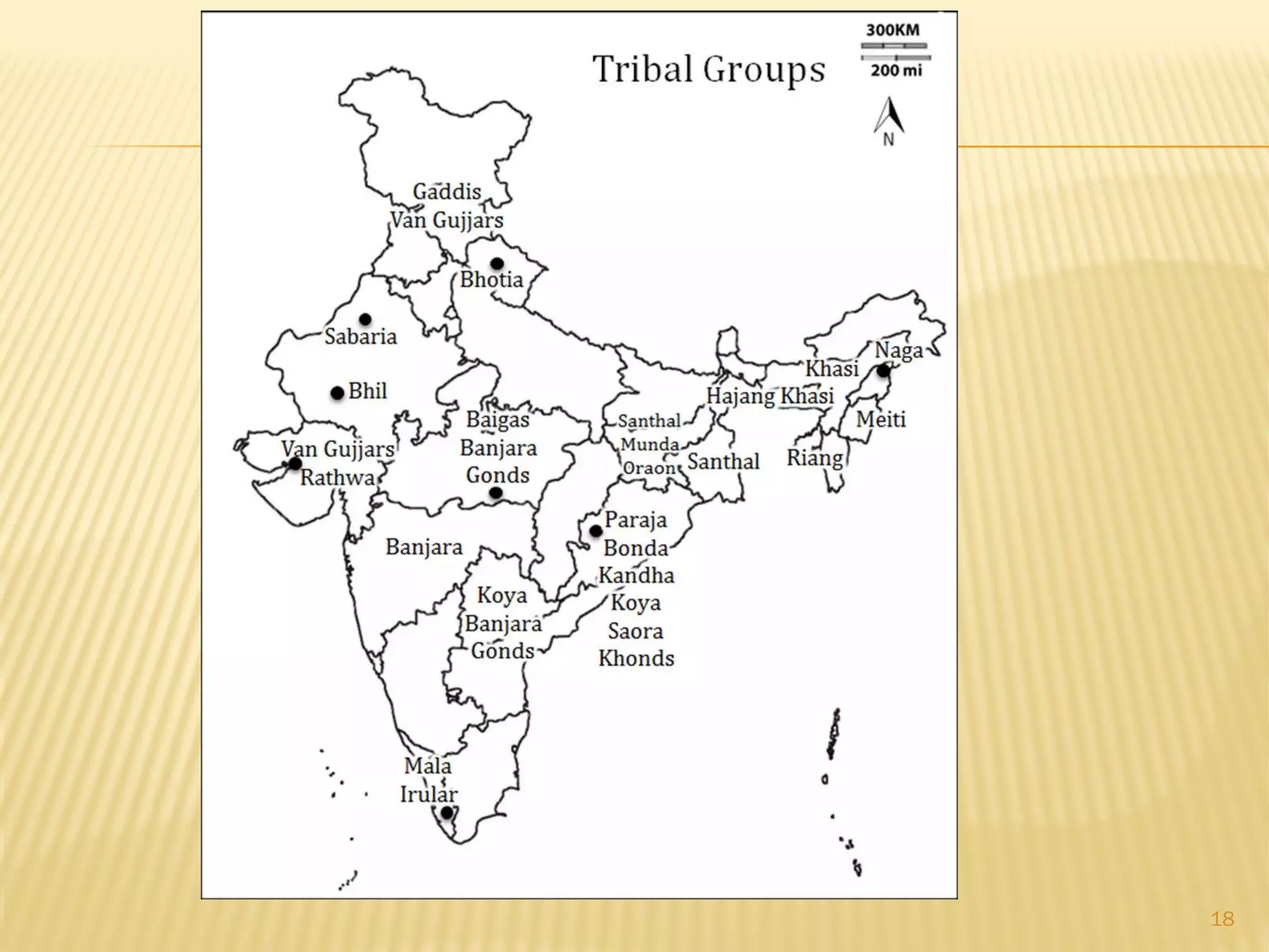 Tribals, Dikus and-the-vision-of-a-golden-age, Grade 8 History CBSE | PDF