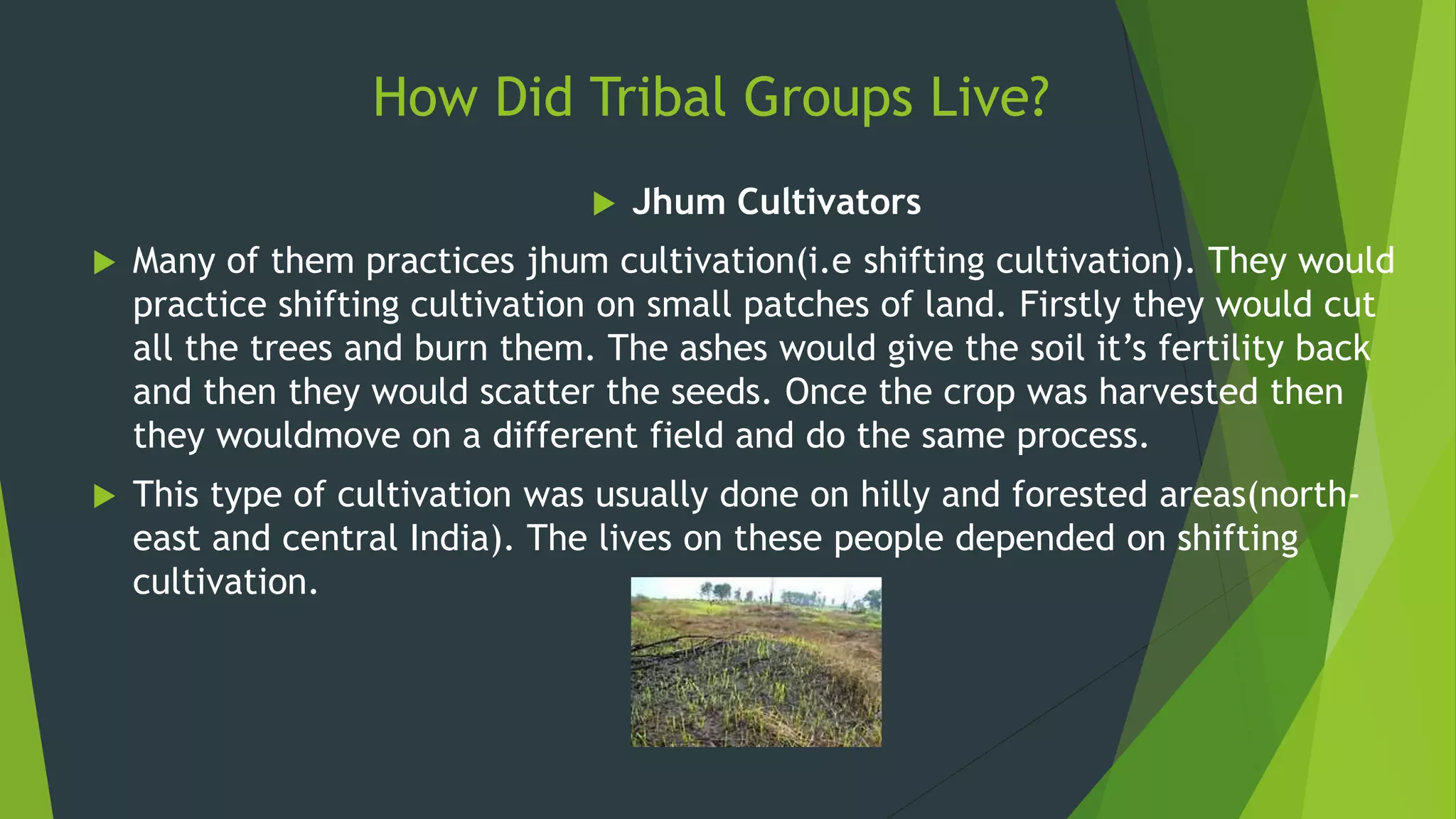 Tribals, Dikus and the Vision of Golden.pptx