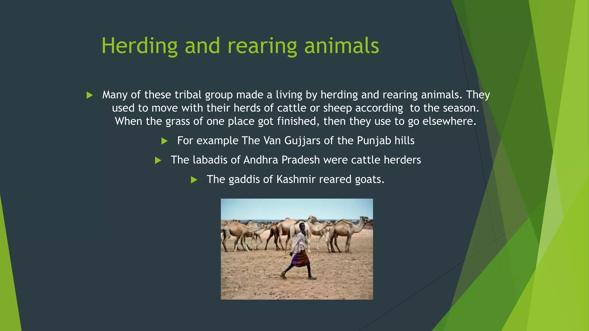 Tribals, Dikus and the Vision of Golden.pptx