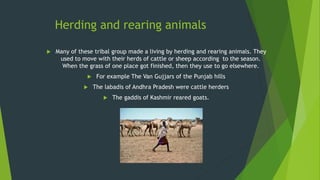 Tribals, Dikus and the Vision of Golden.pptx