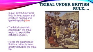 Tribal societies and British colonialism | PPT