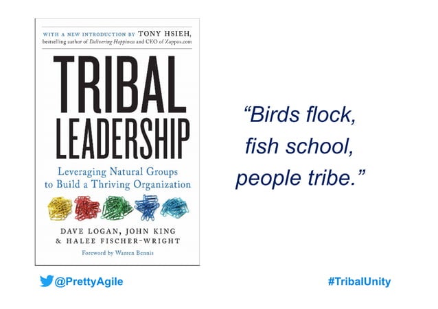 Tribal Unity - A Culture First Approach to SAFe | PPT