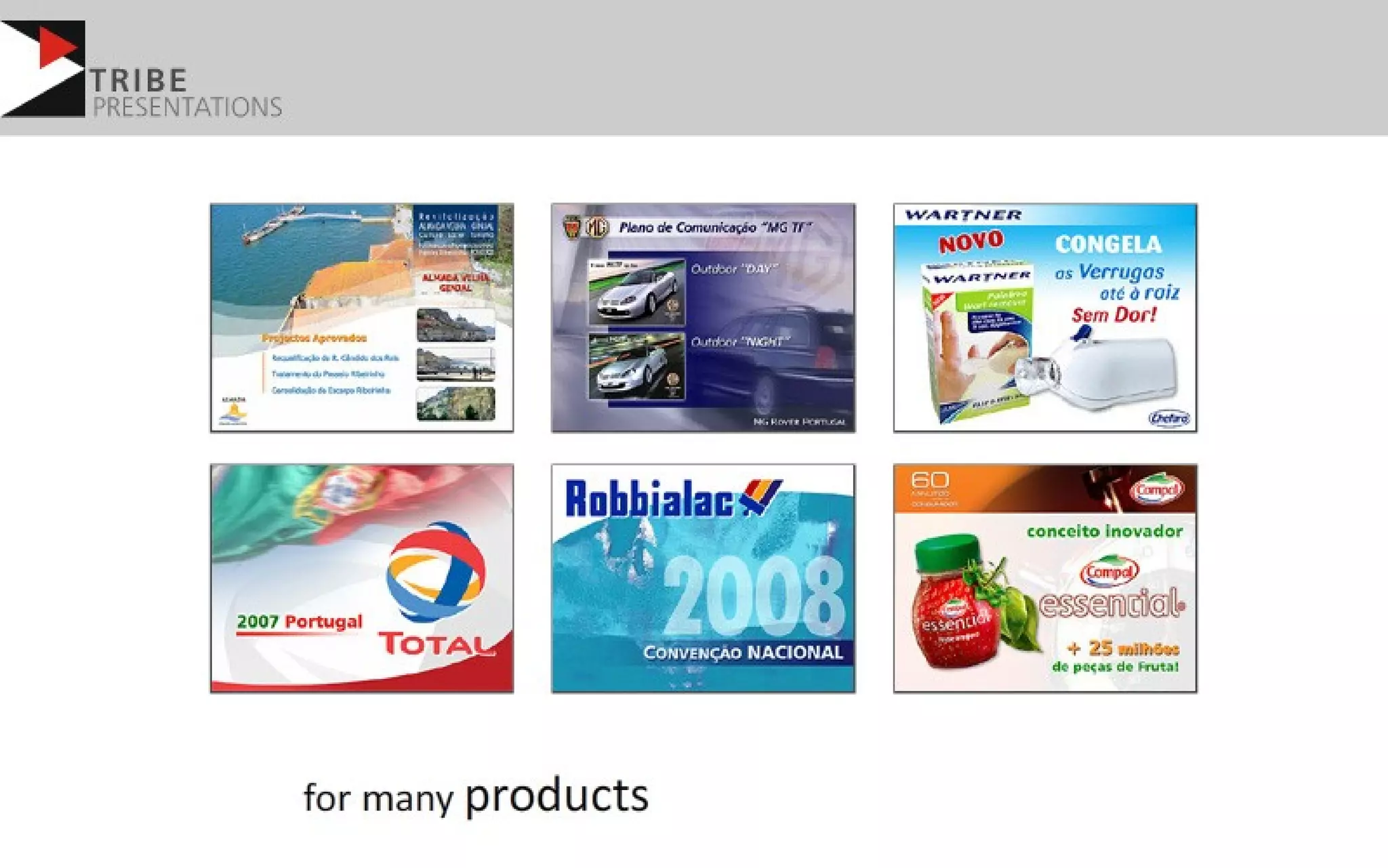 TRIBE Presentations | PPS