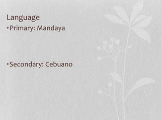 Tribe-of-mandaya-cultures-of-mindanao.pptx