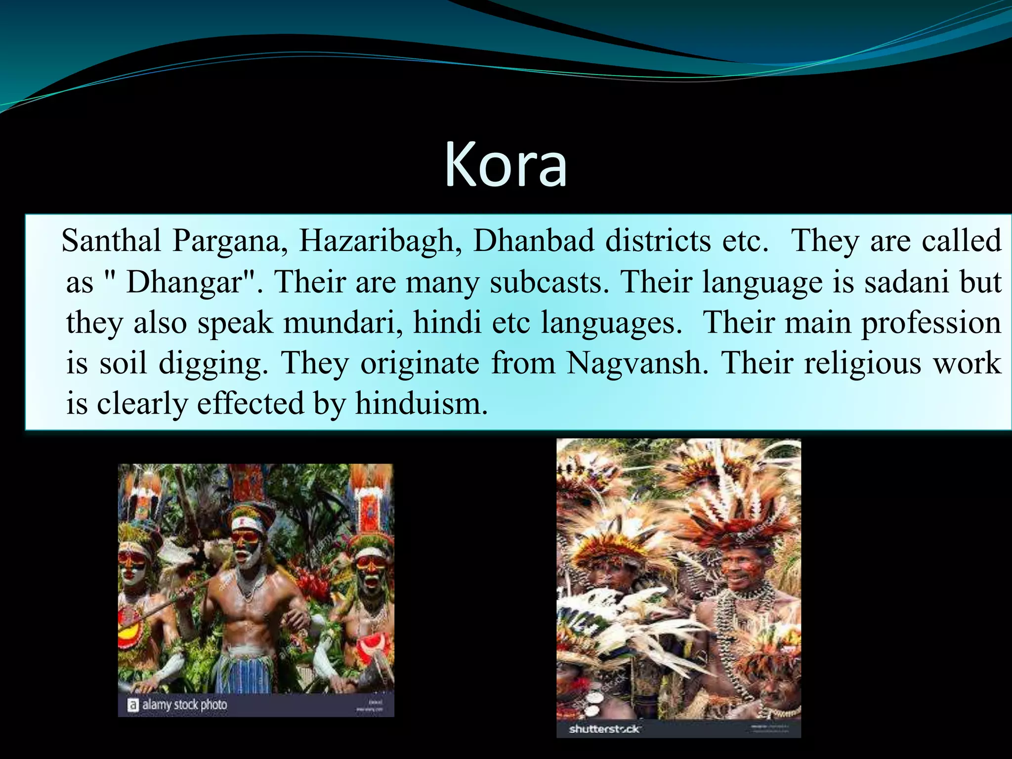 Tribe in jharkhand | PPTX