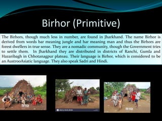 Tribe in jharkhand | PPTX
