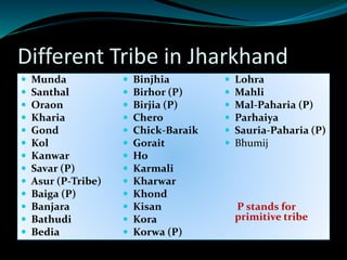 Tribe in jharkhand | PPT