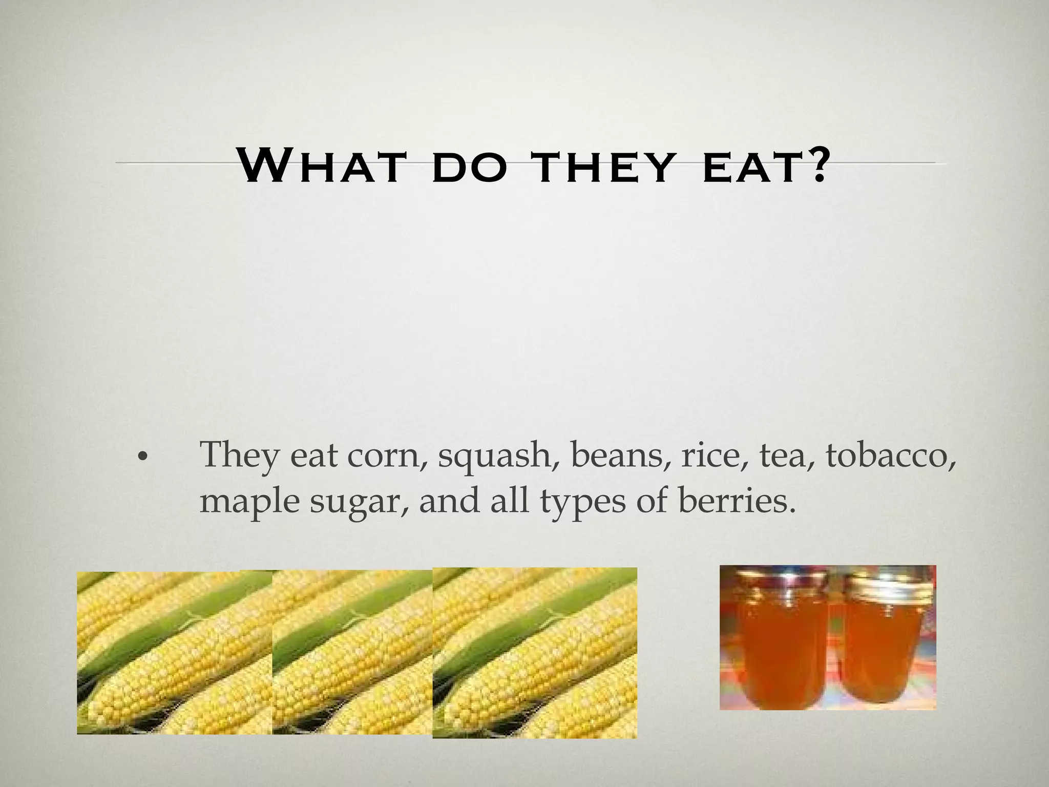 Tribe Of Ojibwa By Emma &Jordyn | PPT