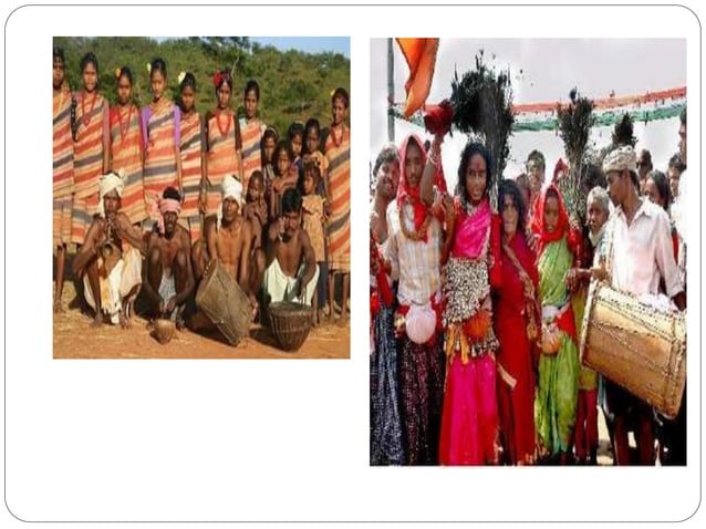 Tribes of India and thier types | PPTX