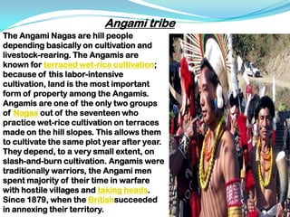 Tribes in India in old time | PDF