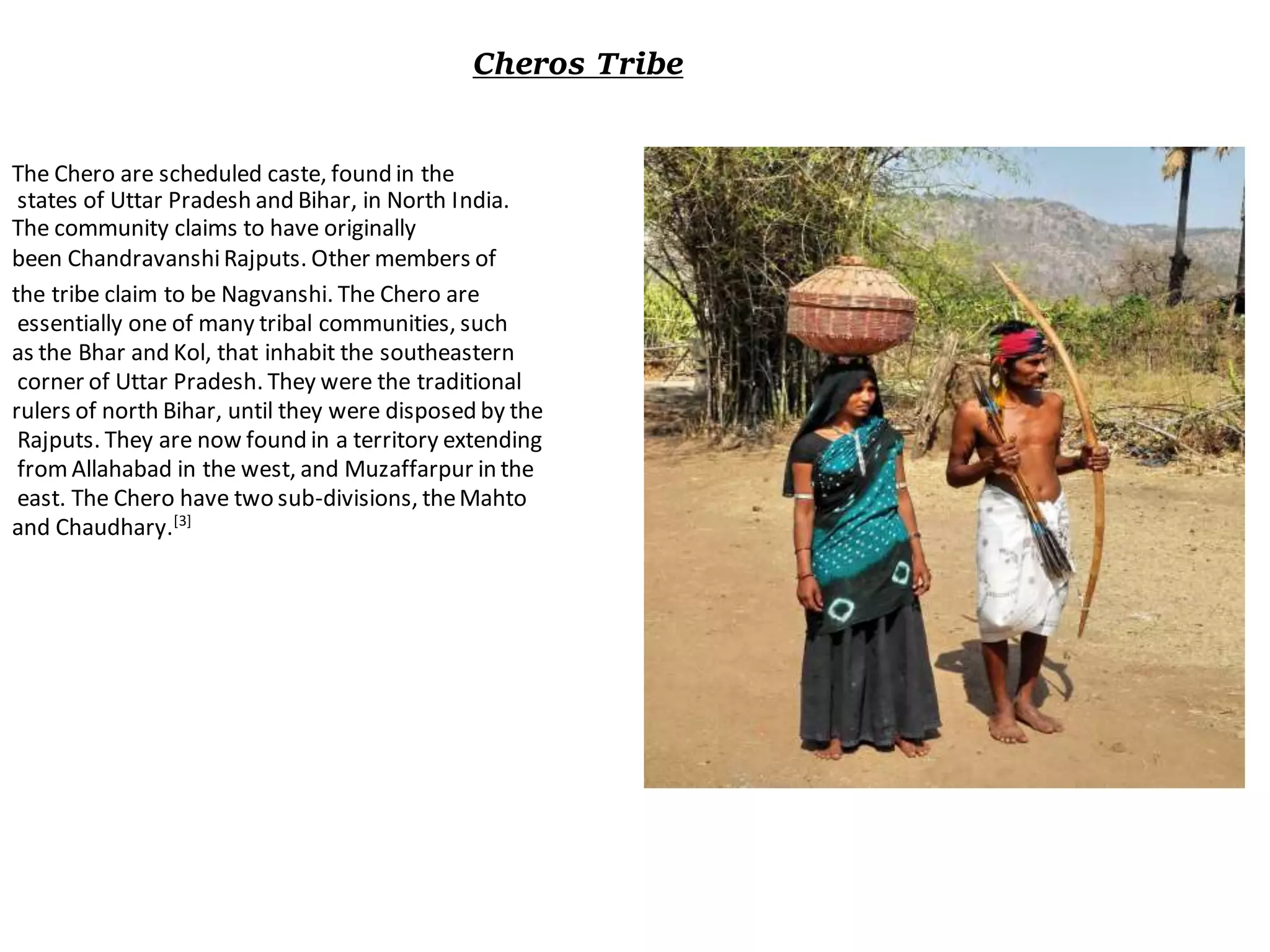 Tribes, Nomads and settled communities in INDIA | DOCX